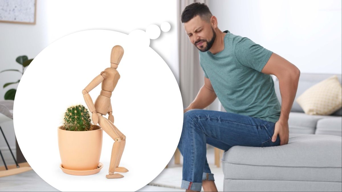 जड़ से खत्म करना चाहते हैं Piles आचार्य बालकृष्ण से जानें इसका अचूक