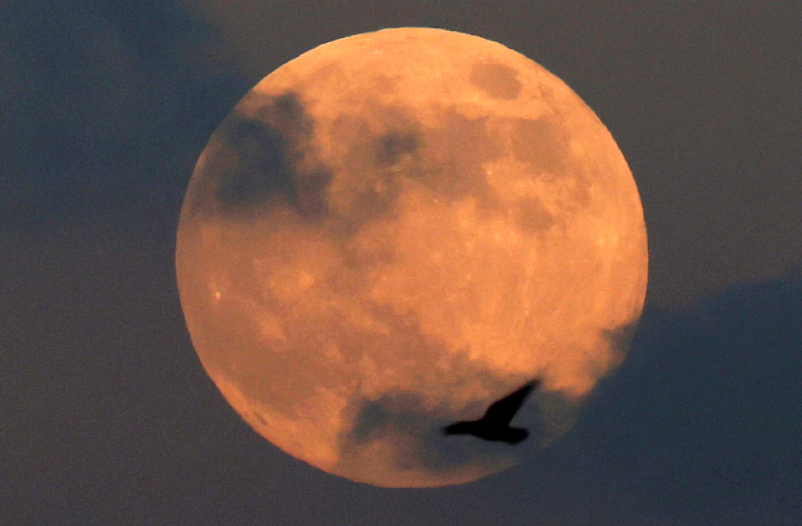 The last full Moon of 2024 in 10 pictures