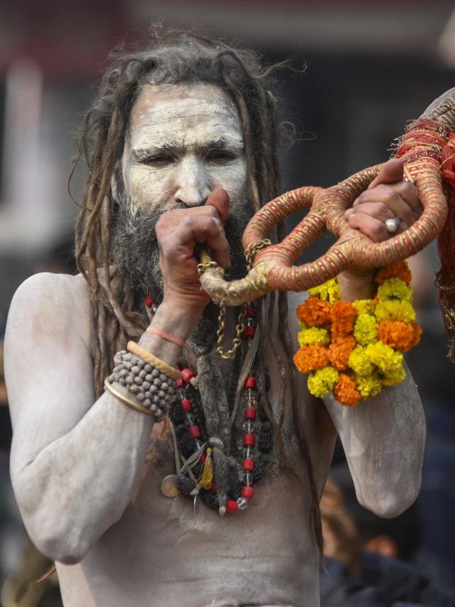 7 People Who Gained Fame During The Maha Kumbh 2025