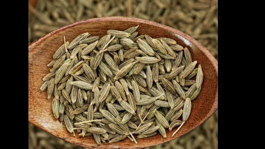 8 benefits of starting your day with a glass of jeera water