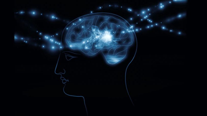 Study reveals the best way to keep memory sharp