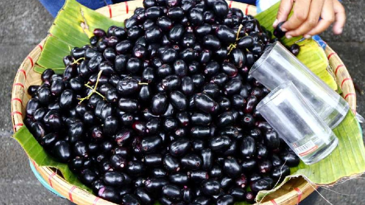 উপকারী জাম এদের জন্য বিষ, কারা খাবেন না? জেনে রাখুন - Dont drink water ...