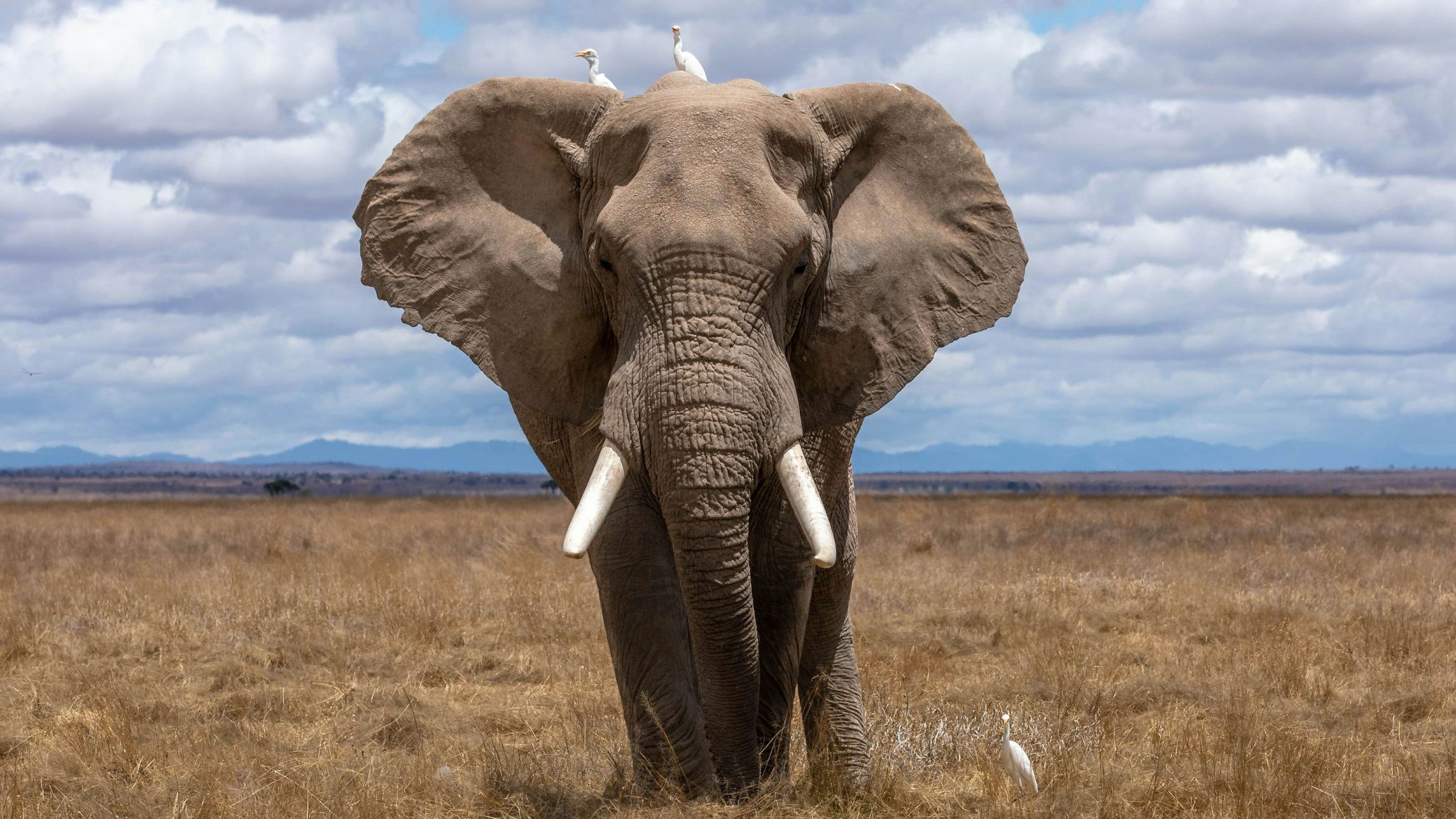 Jannat toha xnx remarkably steady provider, always looks